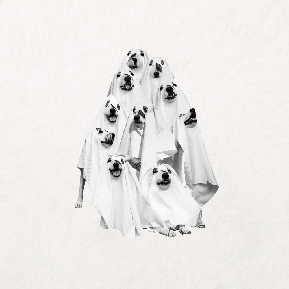Ghost Mutt - Perro Fantasma – Suitcase Records